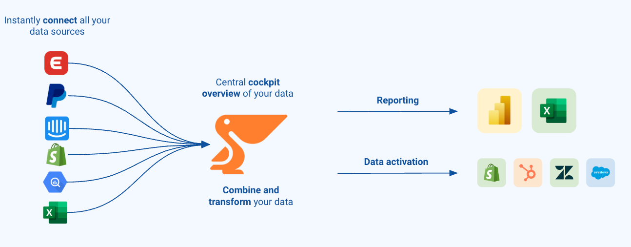 Data Activation: An Introduction by Peliqan