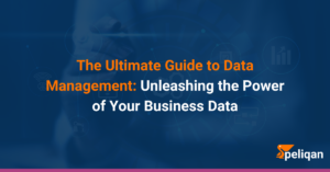 The Ultimate Guide to Data Management - Peliqan