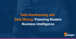 Data Warehousing and Data Mining - Peliqan